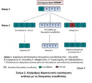 Φυματίωση: Διάγνωση και Θεραπεία - Current Medical Journal